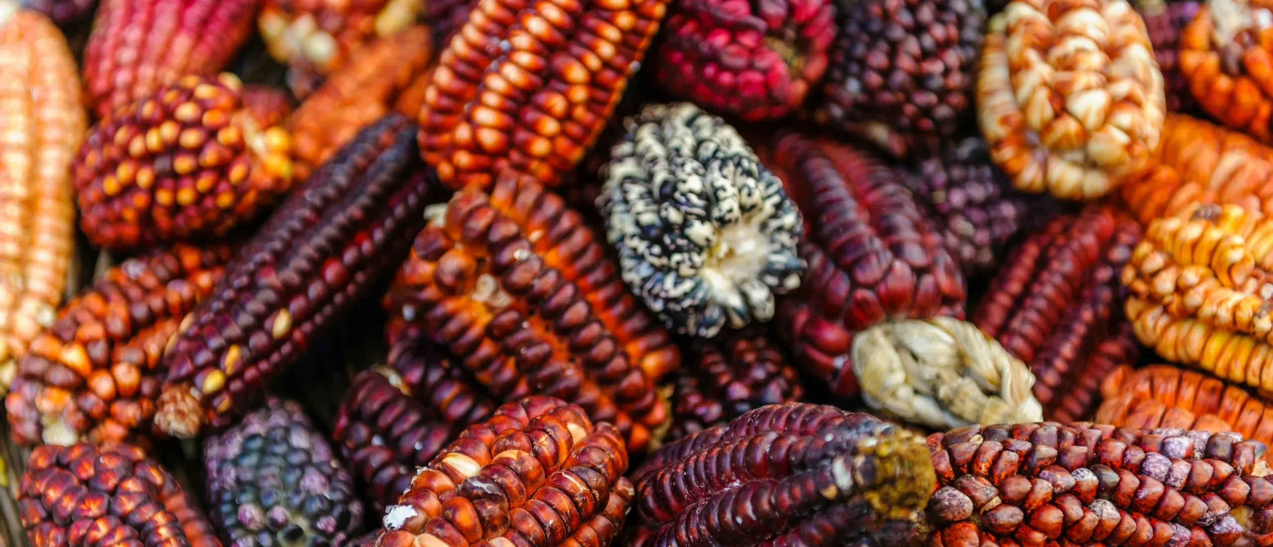 Lessons from Peru - Exceptional Travel